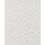 【サンゲツ】壁紙クロス SP-9948（旧品番SP-2303）F★★★★ 量産品 /【Buyee】