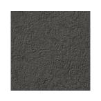 FE76661 壁紙 コンクリート調 ブラック系 ウレタンコート 賃貸 おしゃれ 壁紙貼り替え リフォーム のり付き のりなし サンゲツ ファイン /【Buyee】