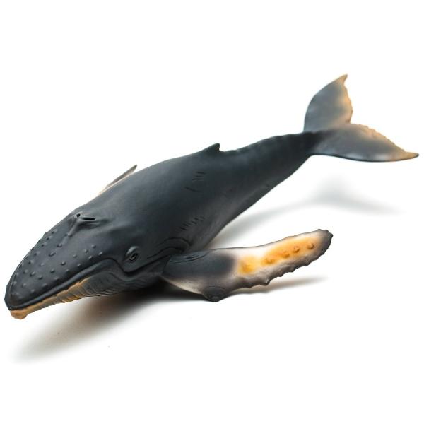 コレクタ CollectA ザトウクジラ 鯨 フィギュア 88347 /【Buyee】 コレクタ CollectA ザトウクジラ 鯨 フィギュア 88347 /【Buyee】